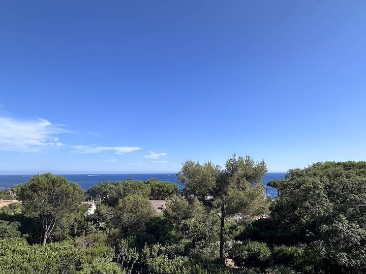 Appartement 3p Avec Terrasse Face à La Mer - Les Issambres
