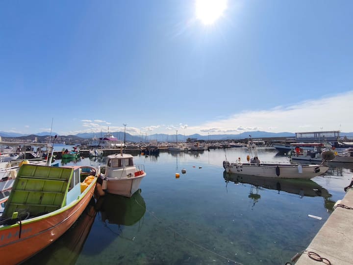 T2 Refait à Neuf Sur Le Port D'ajaccio - Ajaccio