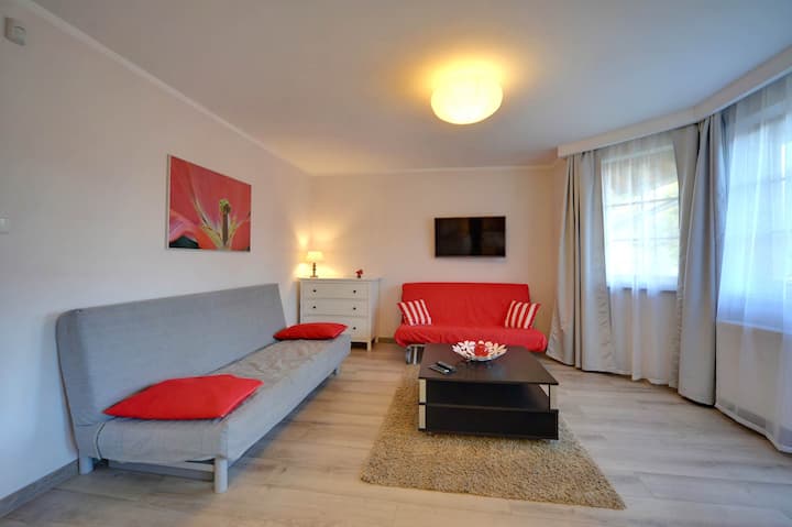 Przemysłowa 18a | Red And Grey Apartment | Parking - カルパチ