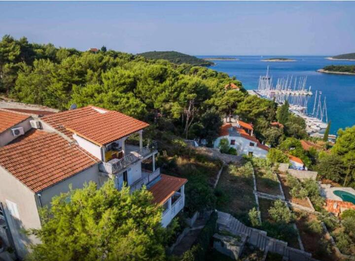 Appartement Vesna (98341-a4) - Maslinica