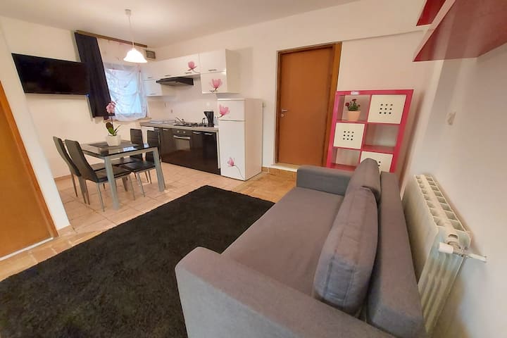 Appartement Pour 4 à Motovun - Près De Parenzana - Motovun