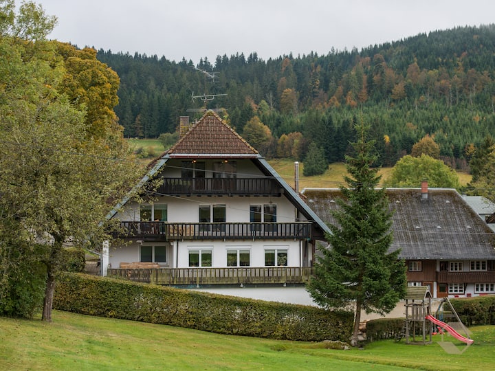 Ferienwohnung Steinebrunner - Todtmoos