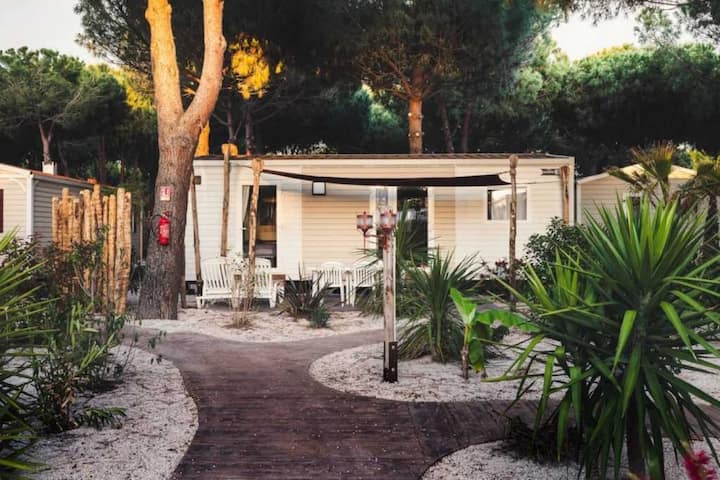 Camping 4 éToiles - Parc Aquatique - Ccaffgg - Marseillan