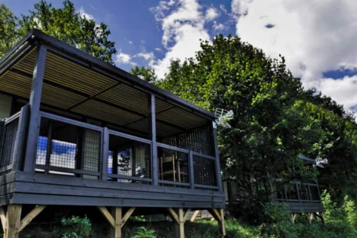 Chalet - Piscine - Ccbbdab - Vic-sur-Cère
