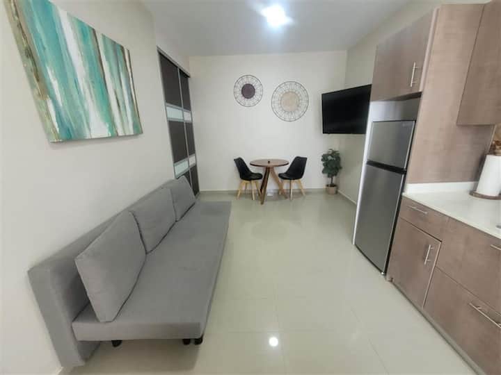 Bear - One Bedroom Apt Steps From Ocean Park Beach - San Juan, Puerto Rico