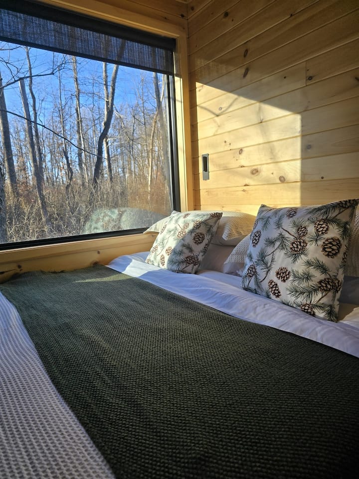Woodland Studio Pod - Pine - Pennsylvania