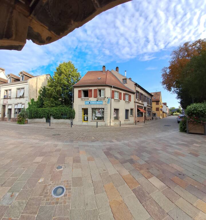 Appartement Lumineux Neuf Et Climatisé - Ensisheim