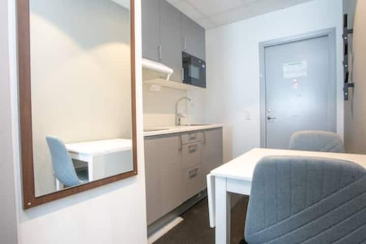 Small Queen Studio - Free Airport Shuttle - Rosersberg