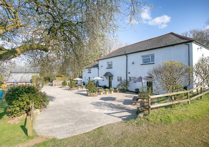 Primrose Cottage - Bennetts Court - Holsworthy