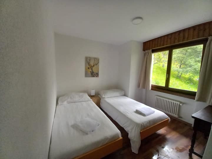 Chambre Lits Jumeaux - Sion