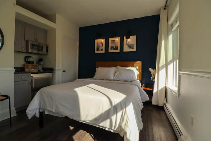 Sunny Studio Apartment With Private Kitchenette - Boston, MA