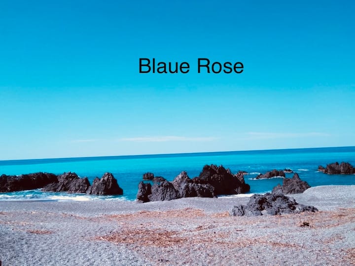 Blaue Rose - Scalea