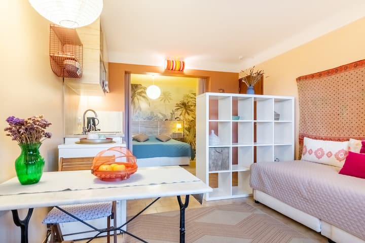 Le Studio La Petite Colline à Céret - Céret