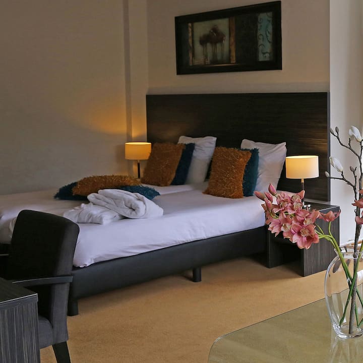 Ideal Group Haven Near Nature | 2 Units - Overijssel