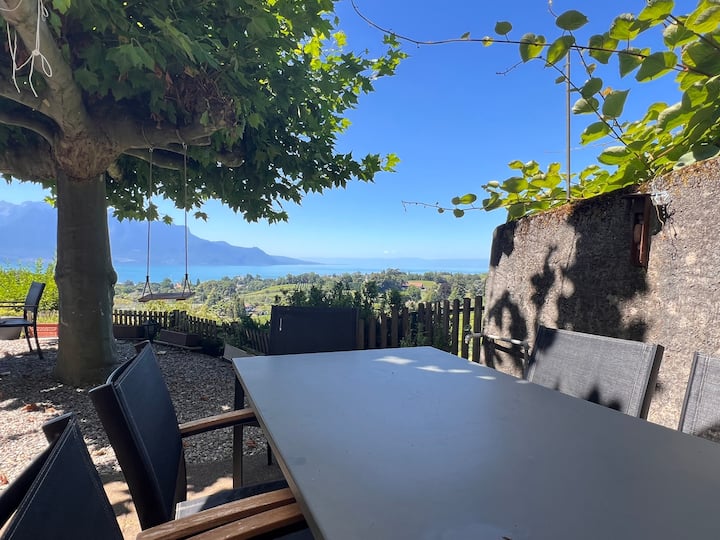 La Vigne 3.5 Zi Apt Mit Grosser Terrasse - 몽트뢰