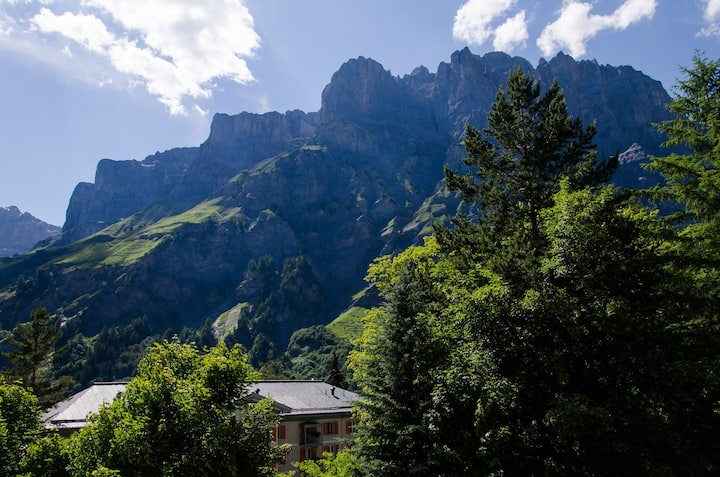 Haus Cristal 39 - Leukerbad