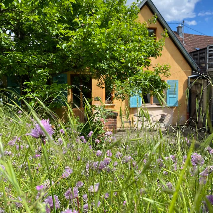 Chez Mamie - Riquewihr