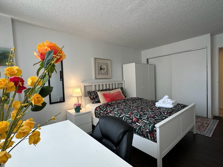 Beautiful 1br In Downtown Montreal - LaSalle