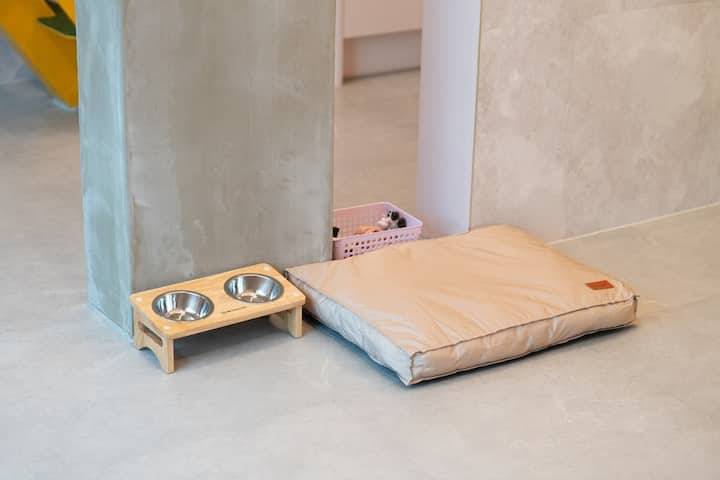 #반려동반 #소노지 #아트뮤지엄 #계곡 Vip풀빌라c동반려견독채복층잔디 - 평산동