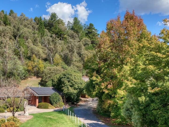 Delany Retreat - Bright