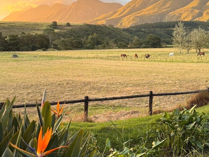 The Stable, Mountain View, S/catering - Swellendam