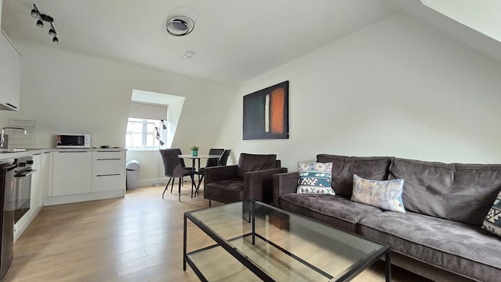 Comfotable City Centre Two Bedroom Apartment - Galway