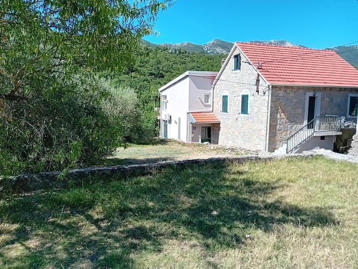 Appartement Green View (81091-a1) - Brela