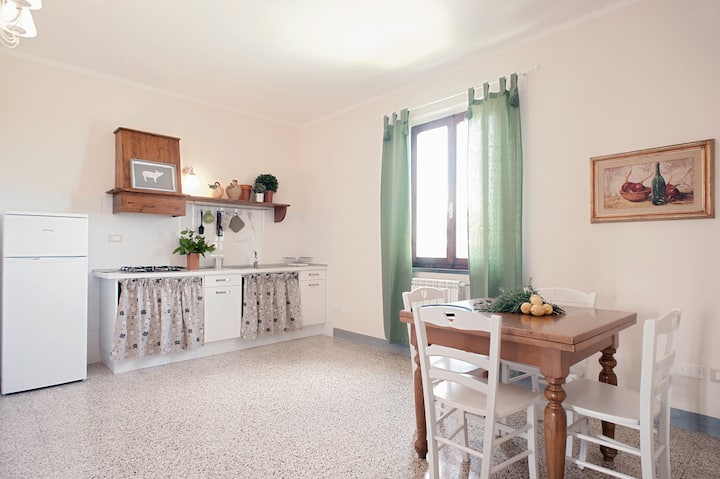 Bellavista - Appartamento 1 - Rosignano Marittimo