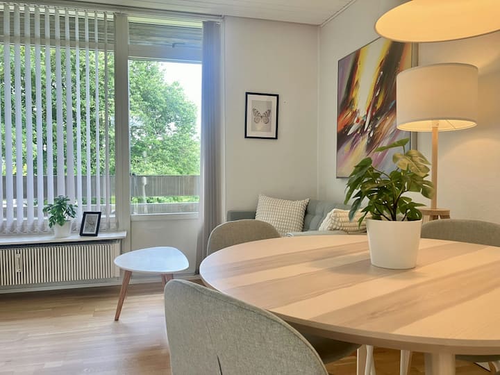 Convenient Studio Apartment - Aarhus