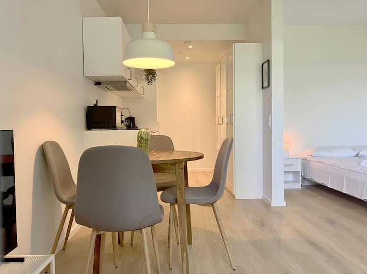 Convenient Studio Apartment For 1 - Aarhus