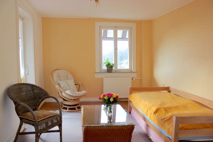 Ferienwohnung Spiritbalance - Sasbachwalden