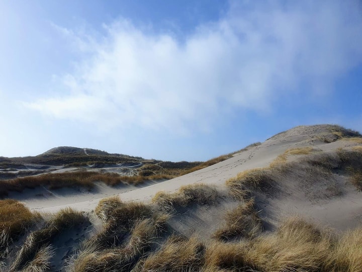 Maison De Vacances Pour 6 A Ringkøbing-by Traum - Søndervig