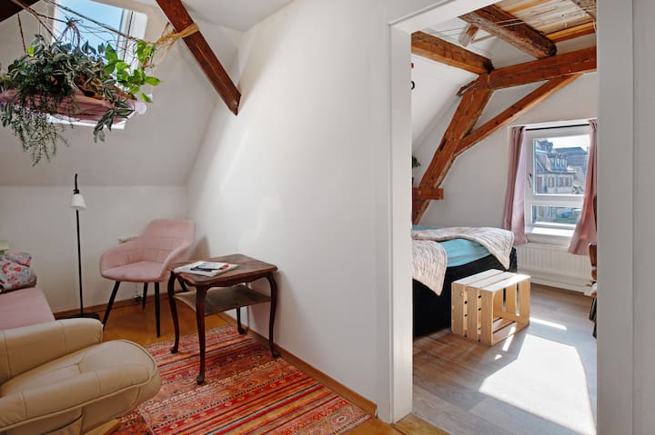 Apartment Nähe Schweiz 2 - Kandern