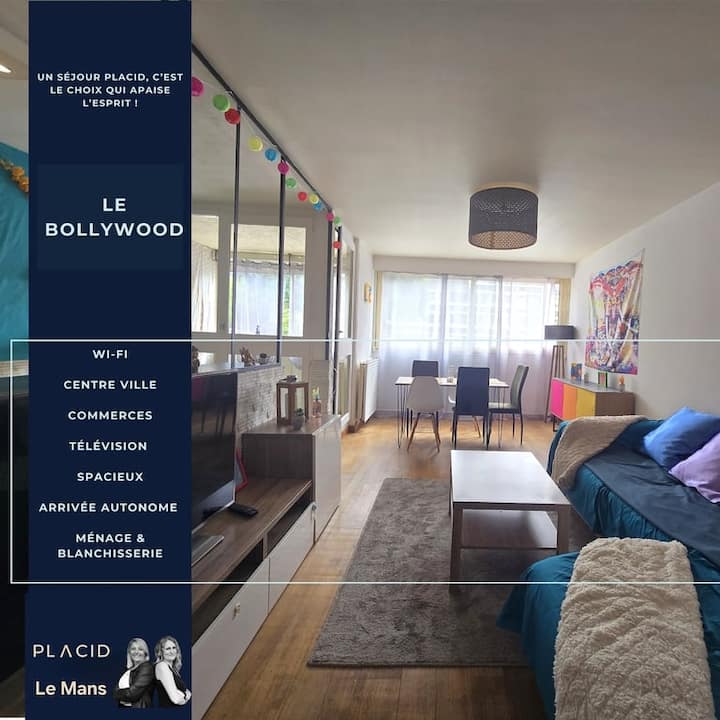 Bollywood - 2 Ch. - Wifi - Centre-ville - Spacieux - Le Mans