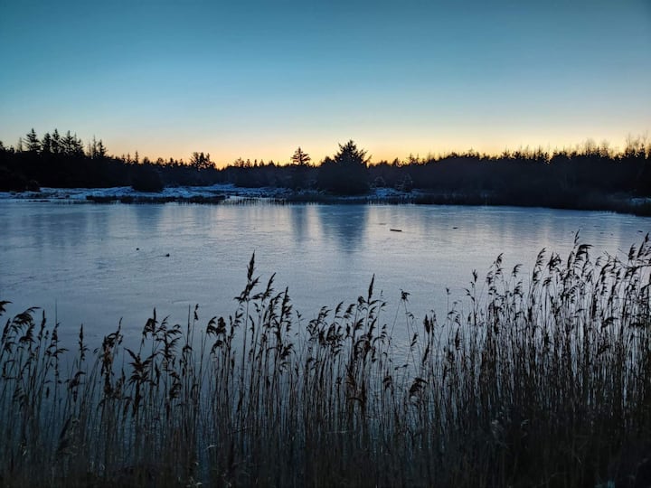 Maison De Vacances Pour 10 A Oksbøl-by Traum - Vejers Strand