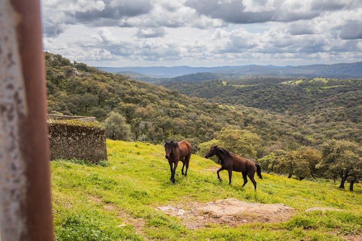 Finca La Arborea - Aracena
