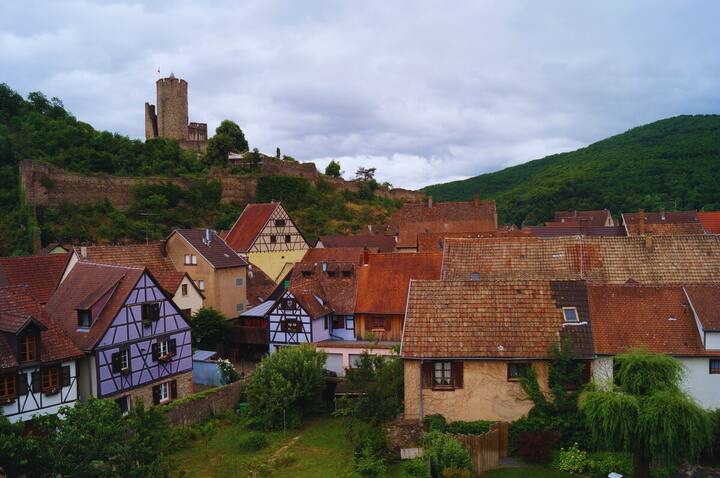 Panorama Château &Vignoble, Parking à Côté - Kaysersberg