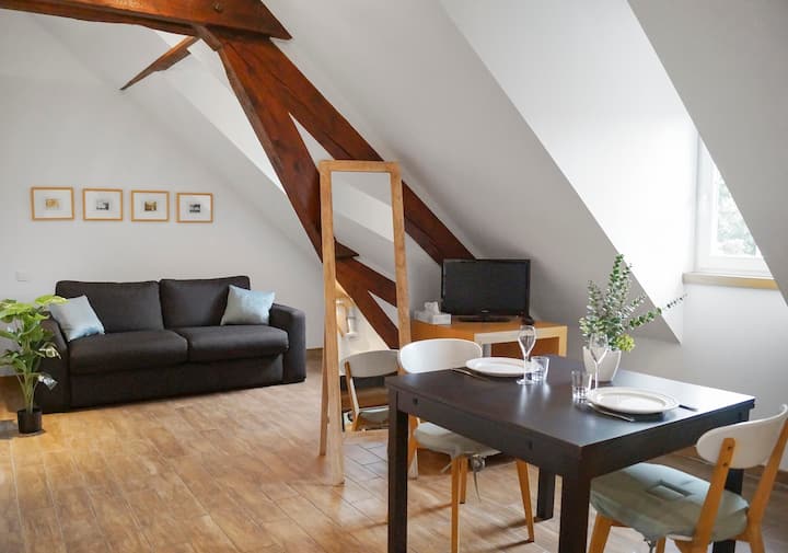Panorama Château, Spacieux, Parking à Côté - Riquewihr