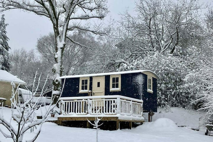 Haslemere - Cabin - Sleeps 2 - Parking - Garden - Midhurst
