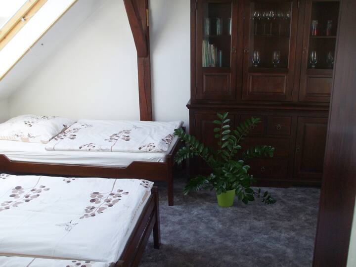 Appartement Moderne à Bad Doberan Avec Jardin - Bad Doberan
