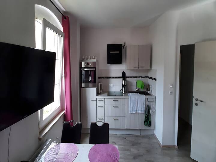 Bel Appartement à Bergk Avec Jardin - Schleiz