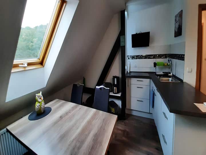 Appartement à Burgk Près Du Fleuve Et Lac - Schleiz
