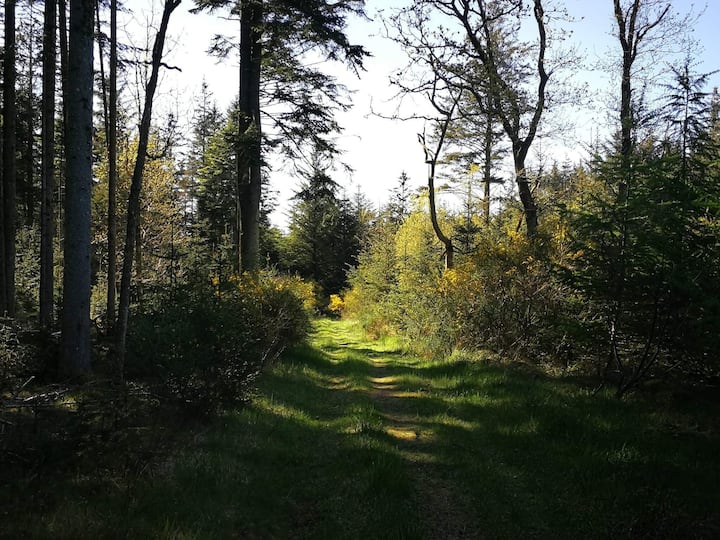 Maison De Vacances Pour 6 A Thisted-by Traum - Klitmøller