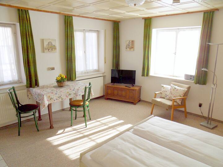 Appartement 1 - Bregenz