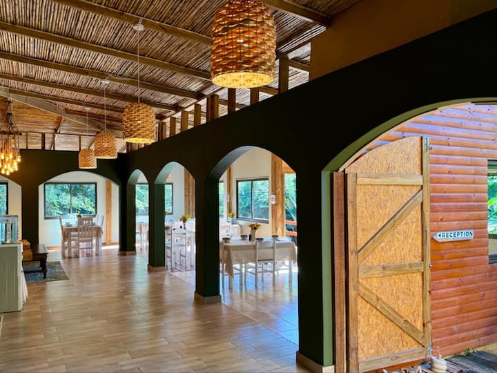 Bamboo Grove - Knysna