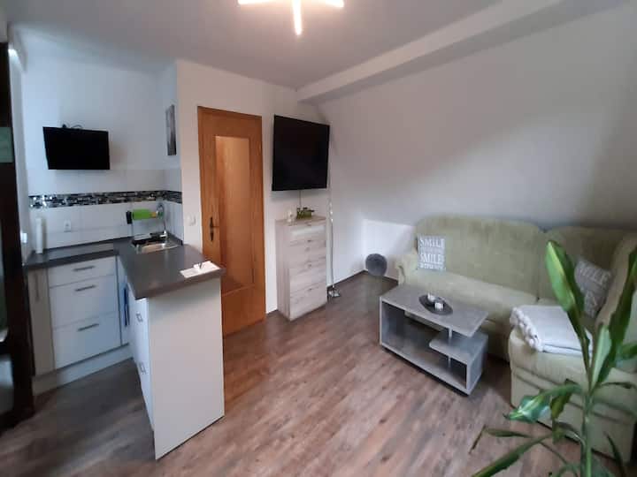 Appartement Pittoresque à Bergk Avec Jardin - Schleiz