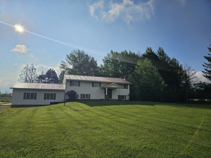Appalachian Retreat. Near Skiing, Hiking & More! - Davis, WV