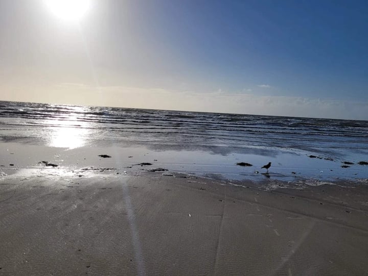 Maison De Vacances Pour 4 A Blåvand-by Traum - Blåvand