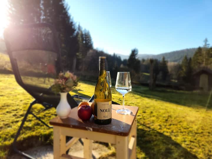 Ferienwohnung Schluchsee - Hinterzarten