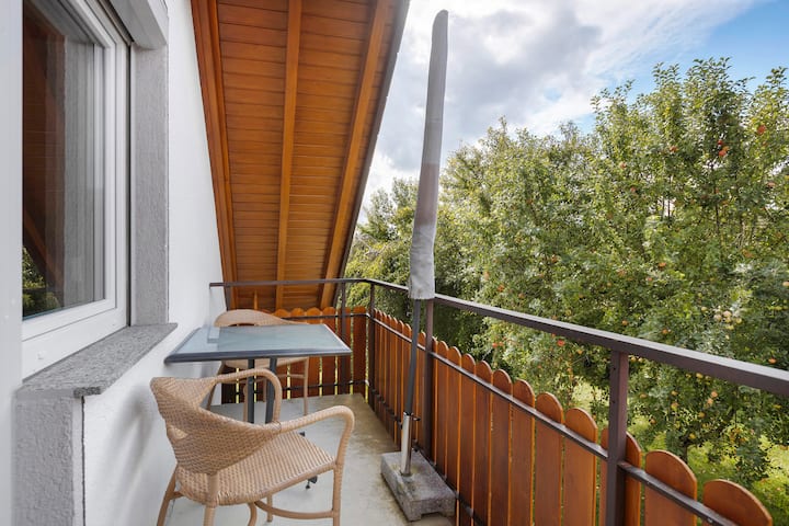 Ferienwohnung 3 - Donaueschingen